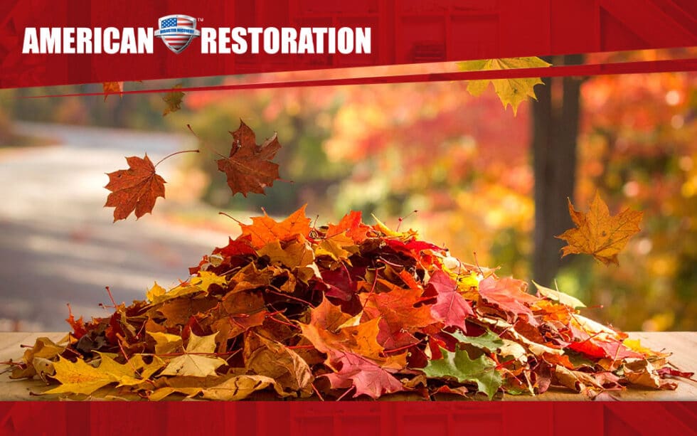 Why Fall Leaf Clean-Up Matters for Fire Safety and Home Protection ...